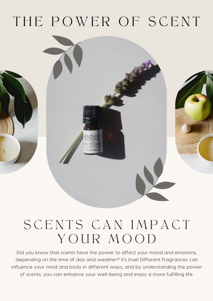 Discover the Power of Scents and Their Impact on Your Mood and Home ...